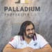 Palladium Properties llc